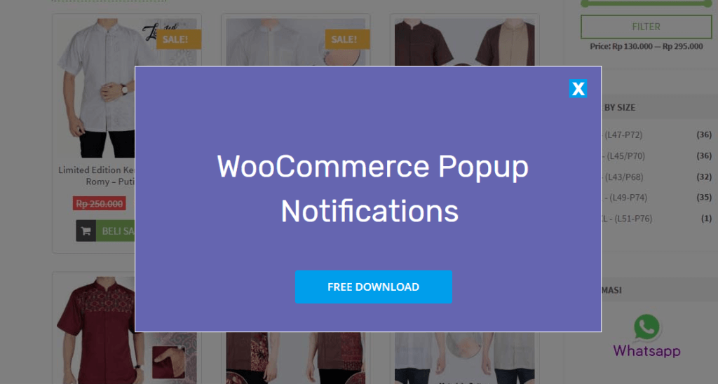 Rules to display - WBW - Best WooCommerce Plugins Plugins for WooCommerce